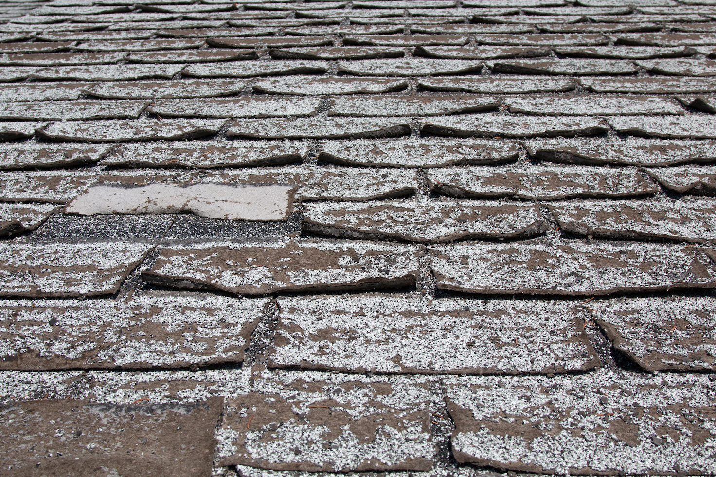 Does Your Roof Need Replacing? Here's How To Tell - Canuck Roofing
