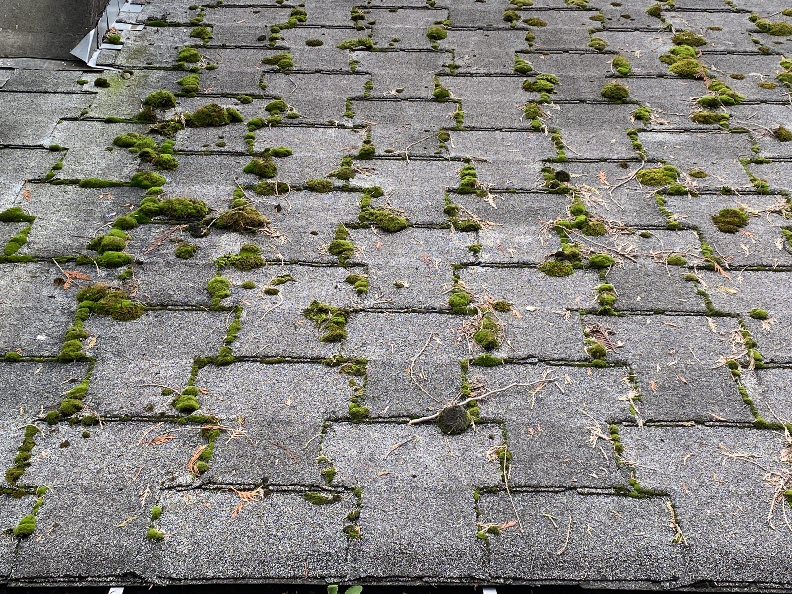 What You Need to Know About T-Lock Shingle Roof Repair